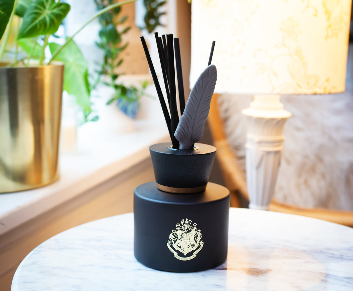 Harry Potter Ceramic Inkwell Reed Diffuser – Ukonic